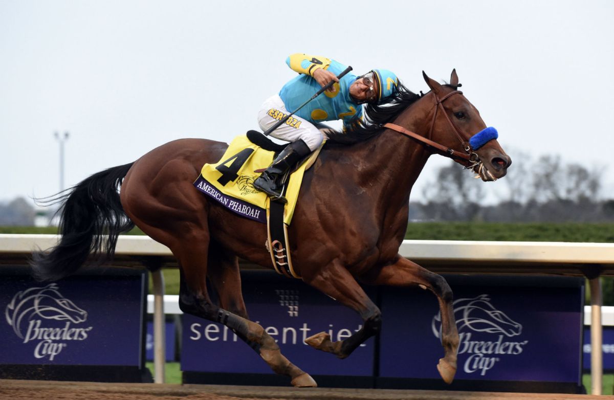 American Pharoah's Second Life as a $200K-Per-Night Stud - InsideHook