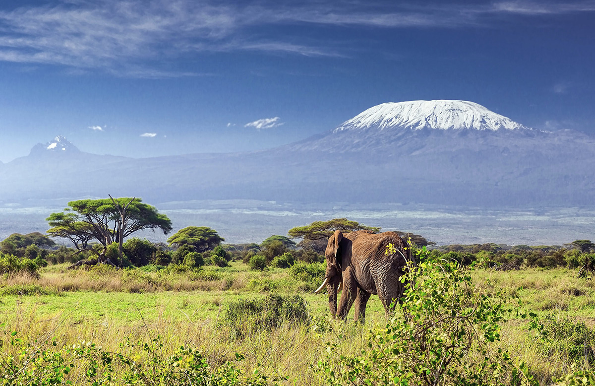 This Winter's Top Destinations for Affluent Travelers - InsideHook