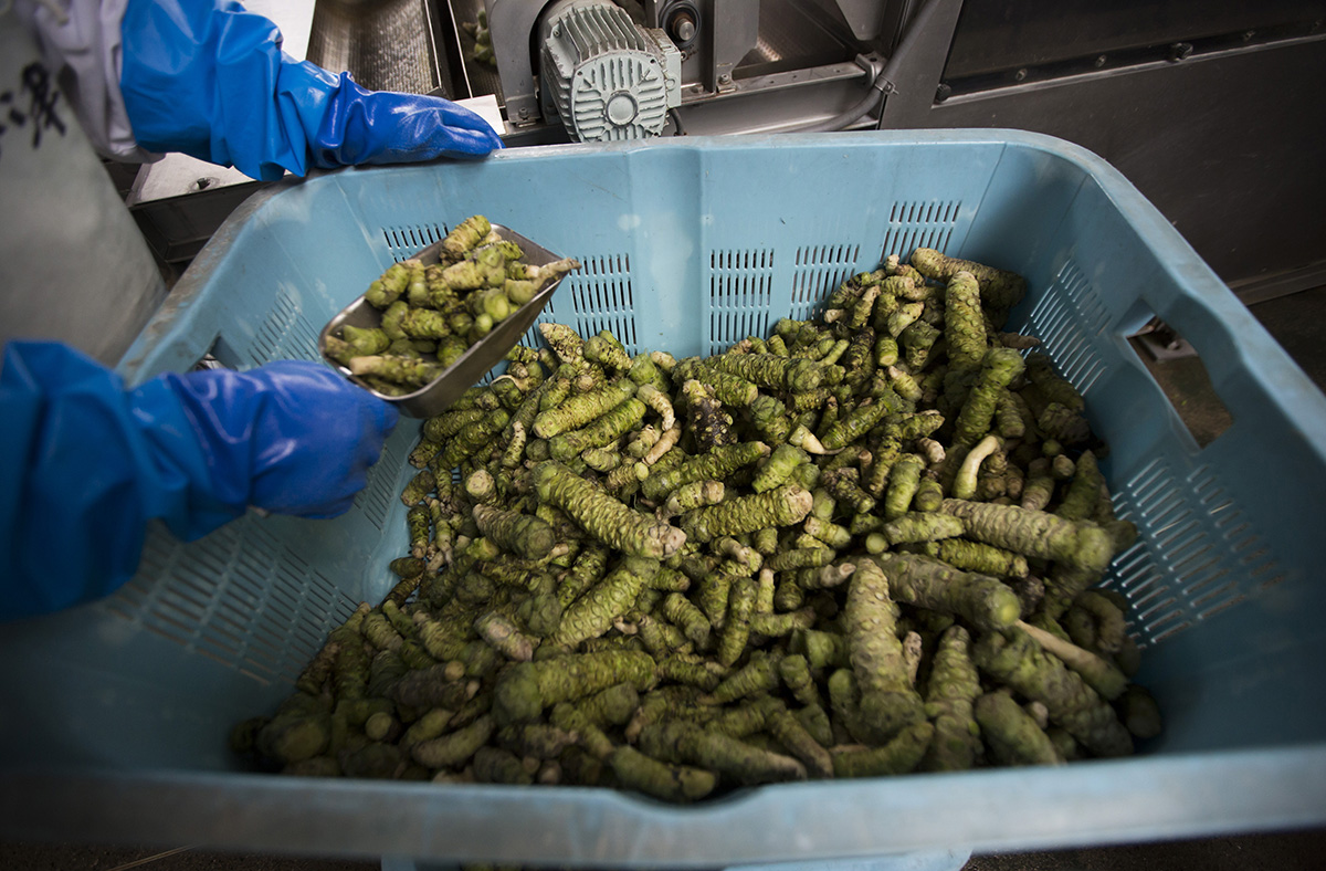 What Real Wasabi Looks and Tastes Like - InsideHook