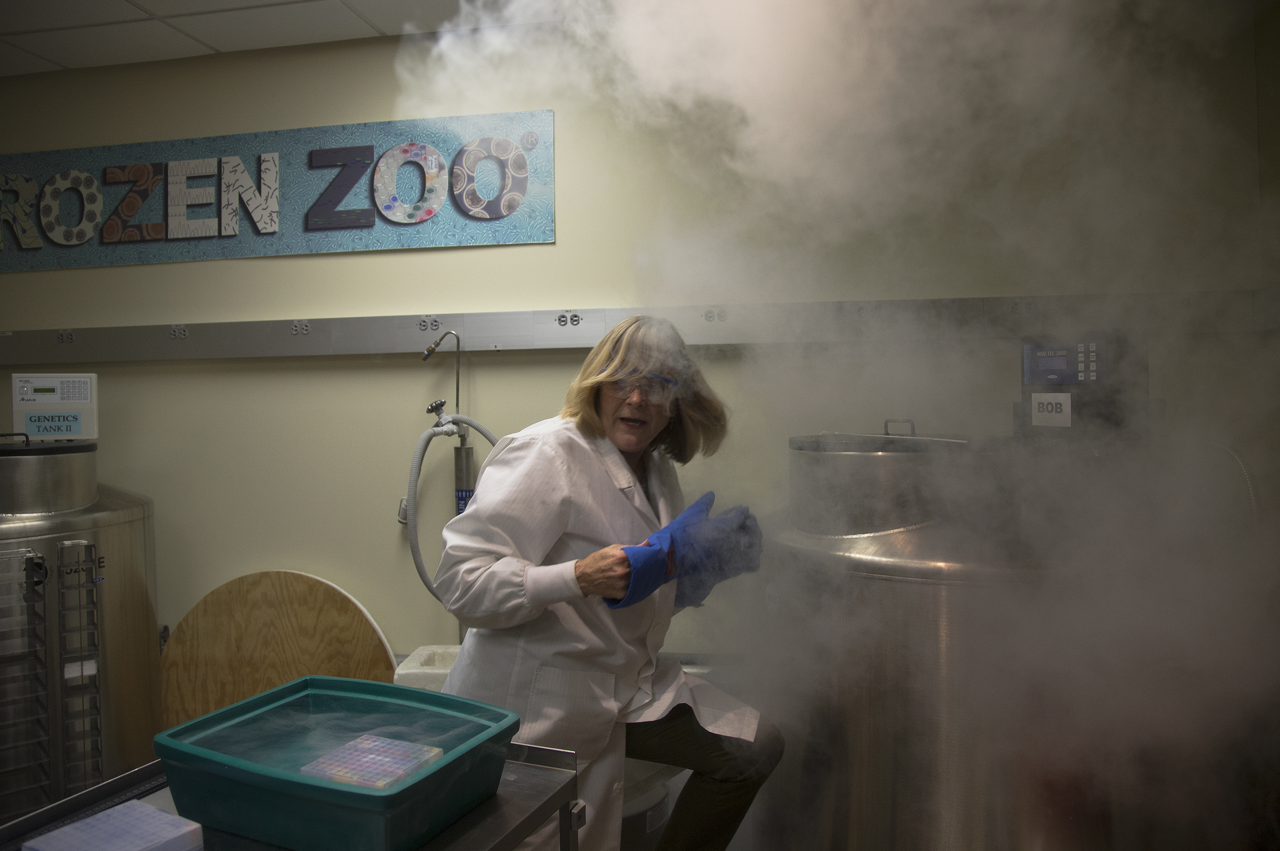 The San Diego Zoo Could Resurrect Extinct Animals Via a 'Cryogenic ...