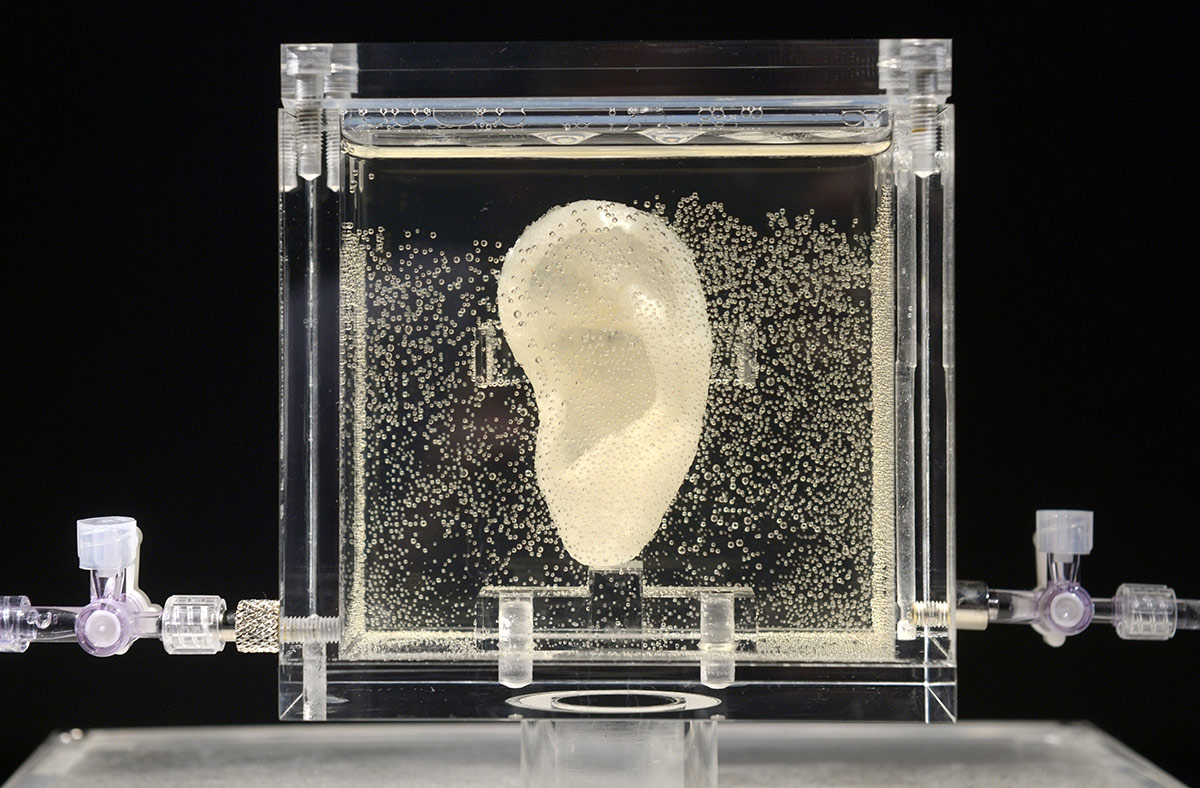 Vincent Van Gogh Cut Off His Ear After Learning His Brother Was to ...