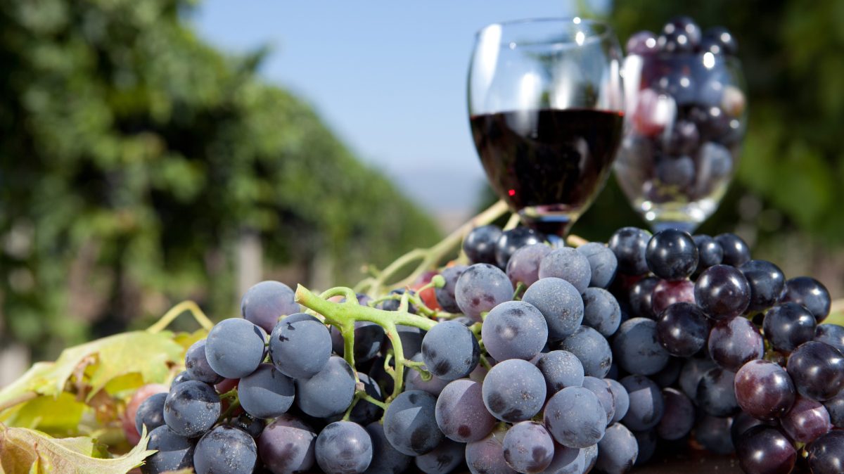 2018's Top Wine Destination: Ohio - InsideHook