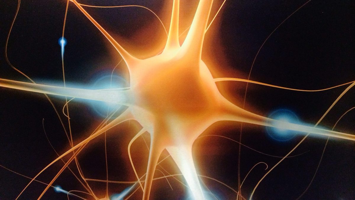 Brain Cell Therapy Could Provide Treatment for Parkinson's Disease ...