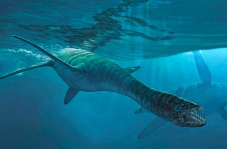 Sea Monster Fossil Discovered By Montana Hunter Is Actually a ...