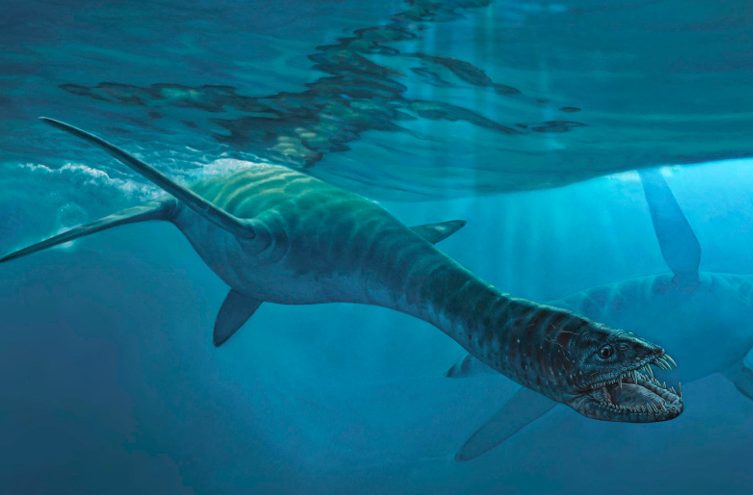 Sea Monster Fossil Discovered By Montana Hunter Is Actually a ...