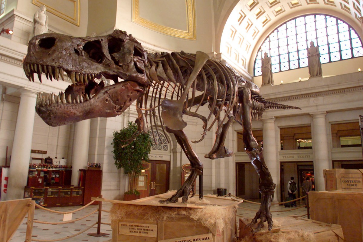 Private Dinosaur Collectors Price Museums Out Of The Market - InsideHook
