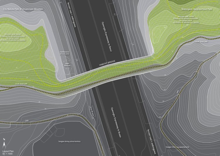 Winning Designs for Eco Bridge Proposal to Protect Wildlife Outside ...