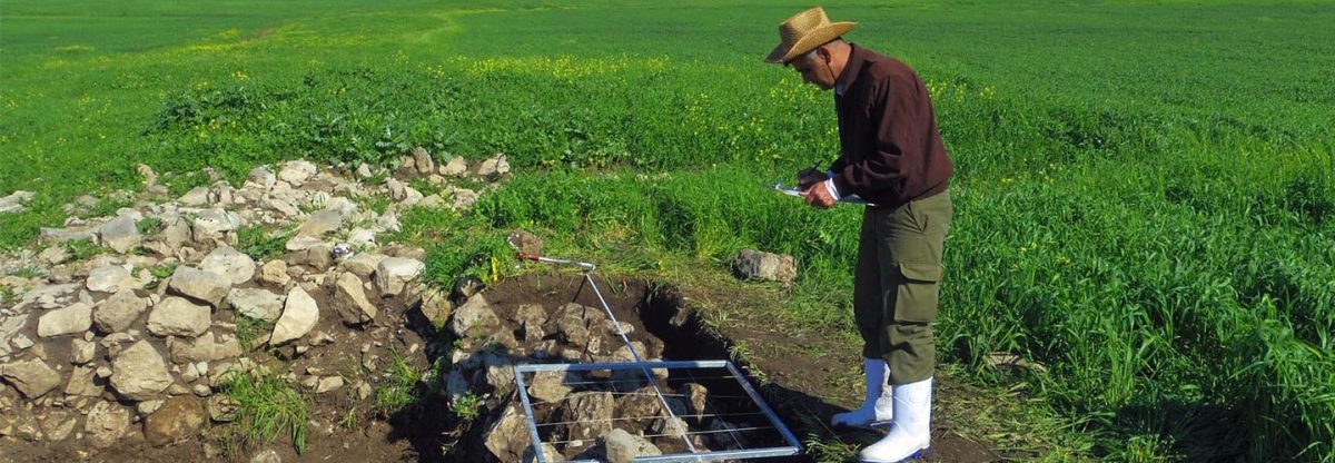 Lost City Discovered in Iraq With Help of Spy Satellites and Drones ...