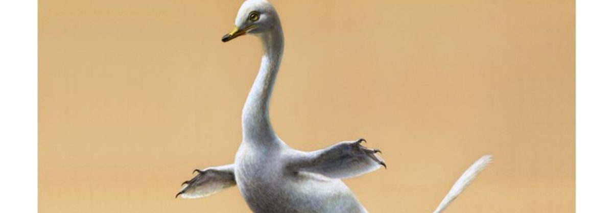 New Dinosaur Looks Like Duck, Croc, Ostrich and Swan Put Together ...