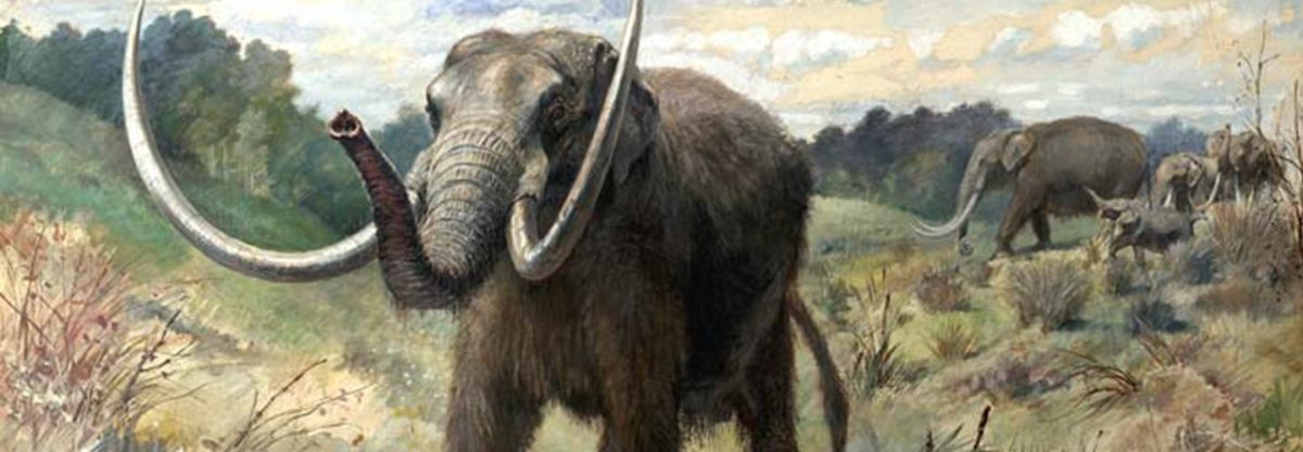 A Mastodon Started a Debate About Humans' Arrival in North America ...