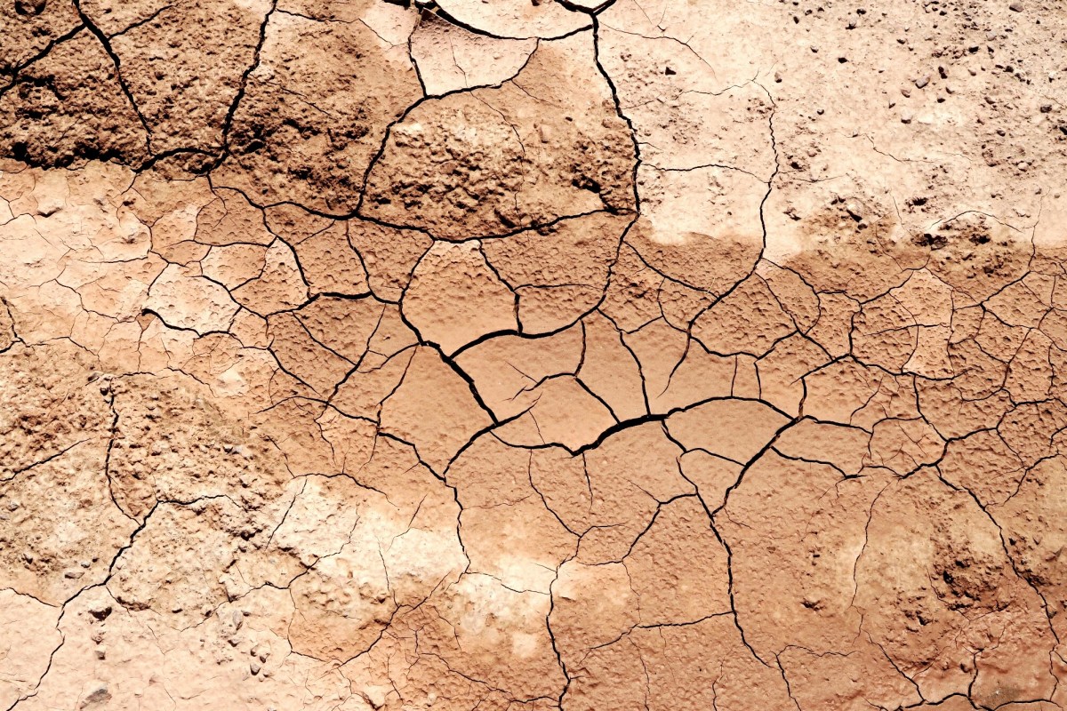 Scientists Potentially Discovered Powerful New Antibiotic in Dirt ...