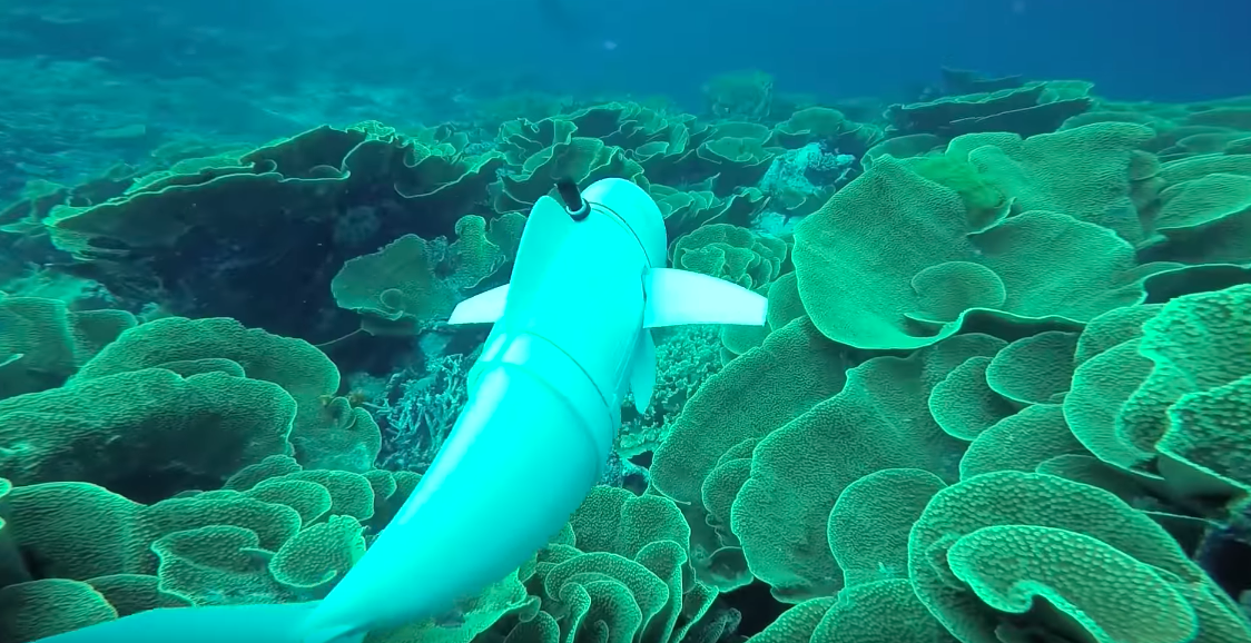 MIT Invented a Robot Fish to Spy on Marine Life - InsideHook