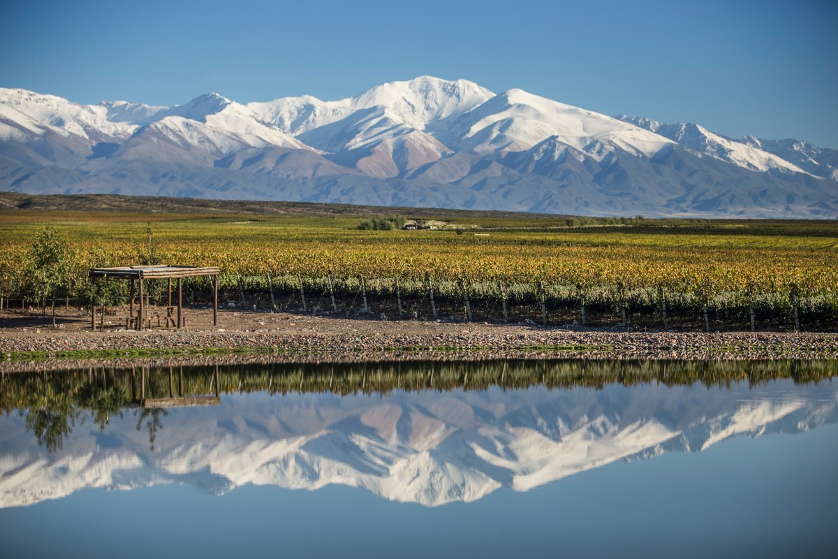 High Altitude Wine Is the Latest Trend in Wine Snobbery - InsideHook