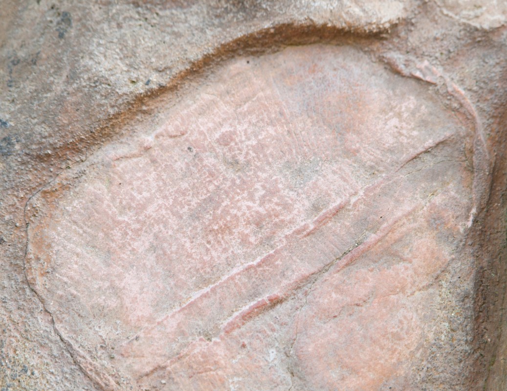 Evidence of the First Animal in Known History Found in Russia - InsideHook