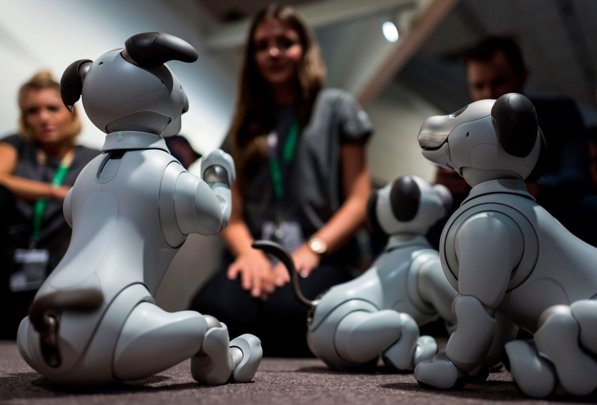 Sony Makes Its Return to Robot Dog Industry with Aibo - InsideHook