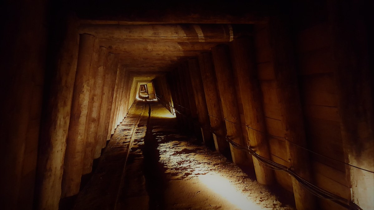 How One Man Is Preparing For a World After Humans - InsideHook