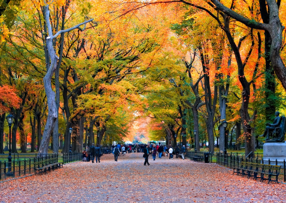 Why Living Near a Park is Great for Your Health - InsideHook