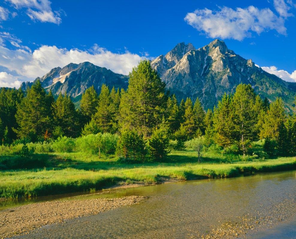 Trump Sets Sights on National Forests to Ramp Up Oil Drilling - InsideHook