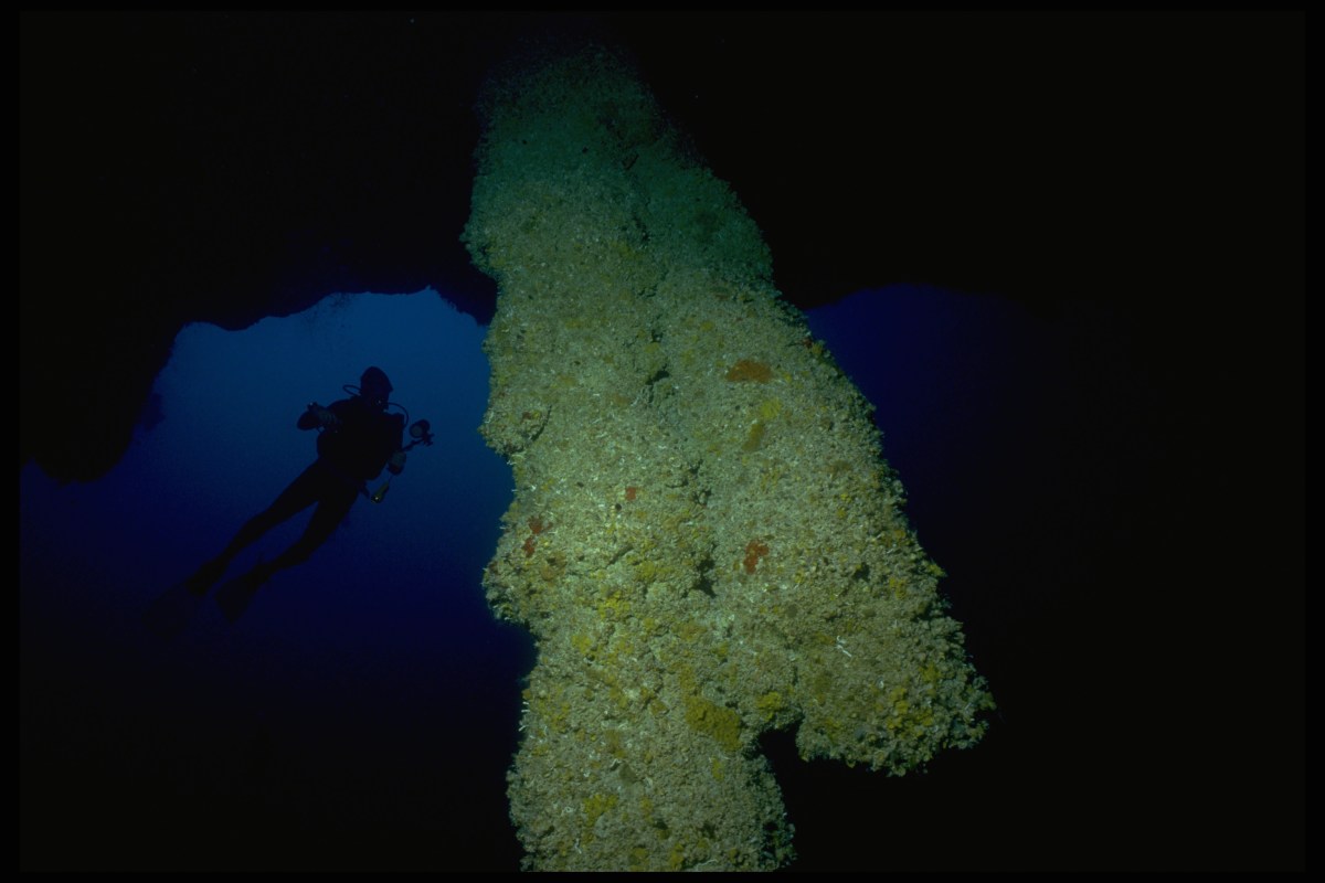 Inside the Depths of Belize's Great Blue Hole - InsideHook