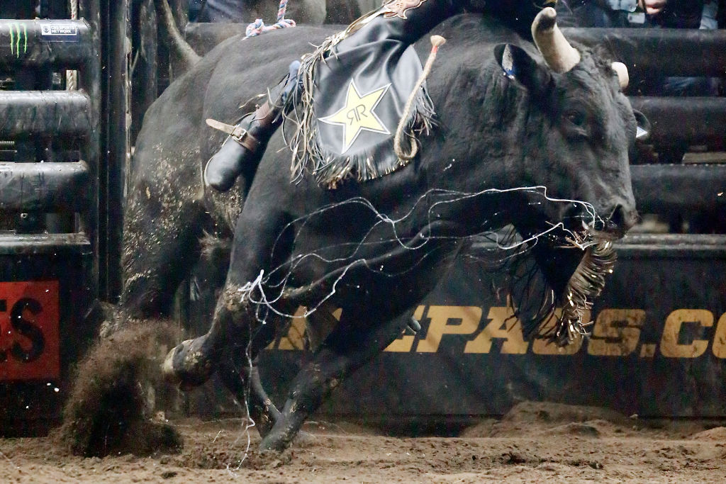 "Cowboy Pinball" Is the Dangerous Craze Sweeping the Rodeo Circuit ...