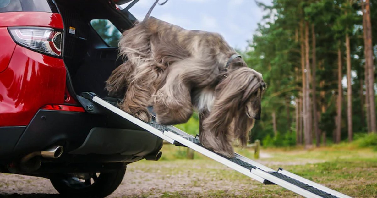 Land Rover Dog Accessories Collections Ramp - InsideHook