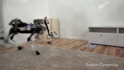 Boston Dynamics Robot Dog Does Dishes - InsideHook