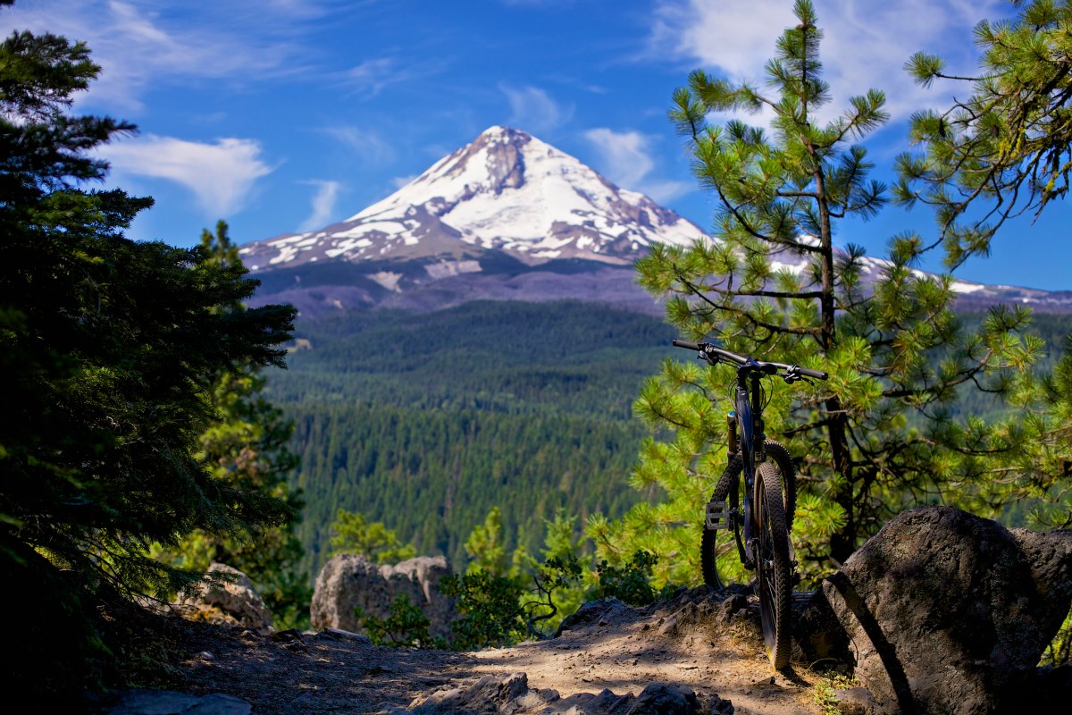 The 9 US National Forests With Certified “Epic” Biking Trails - InsideHook