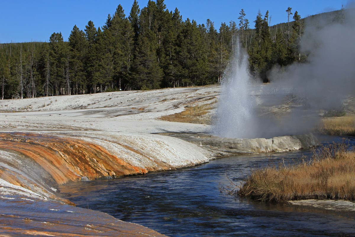 Yellowstone Geyser Gushes Back From the Dead After 3 Quiet Years ...