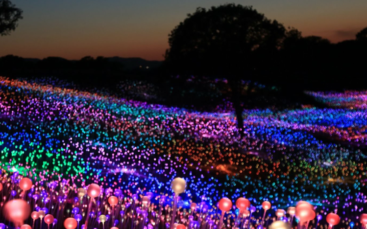 The Sensational “Field of Light” Installation Is Now on View in Paso ...