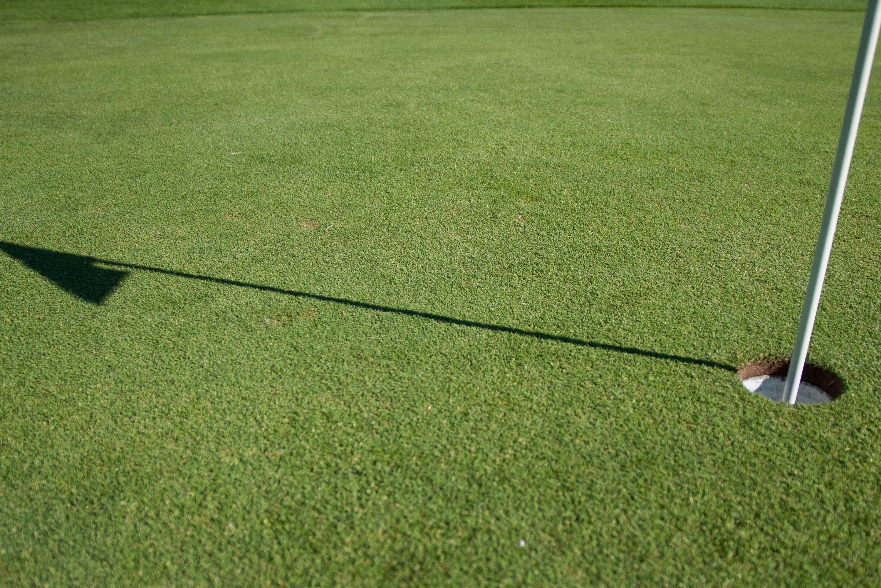 Golfer, 81, Nabs 2 Holes-in-One During Same Round - InsideHook