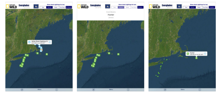 New App Sharktivity Is Basically Waze for Shark Sightings - InsideHook