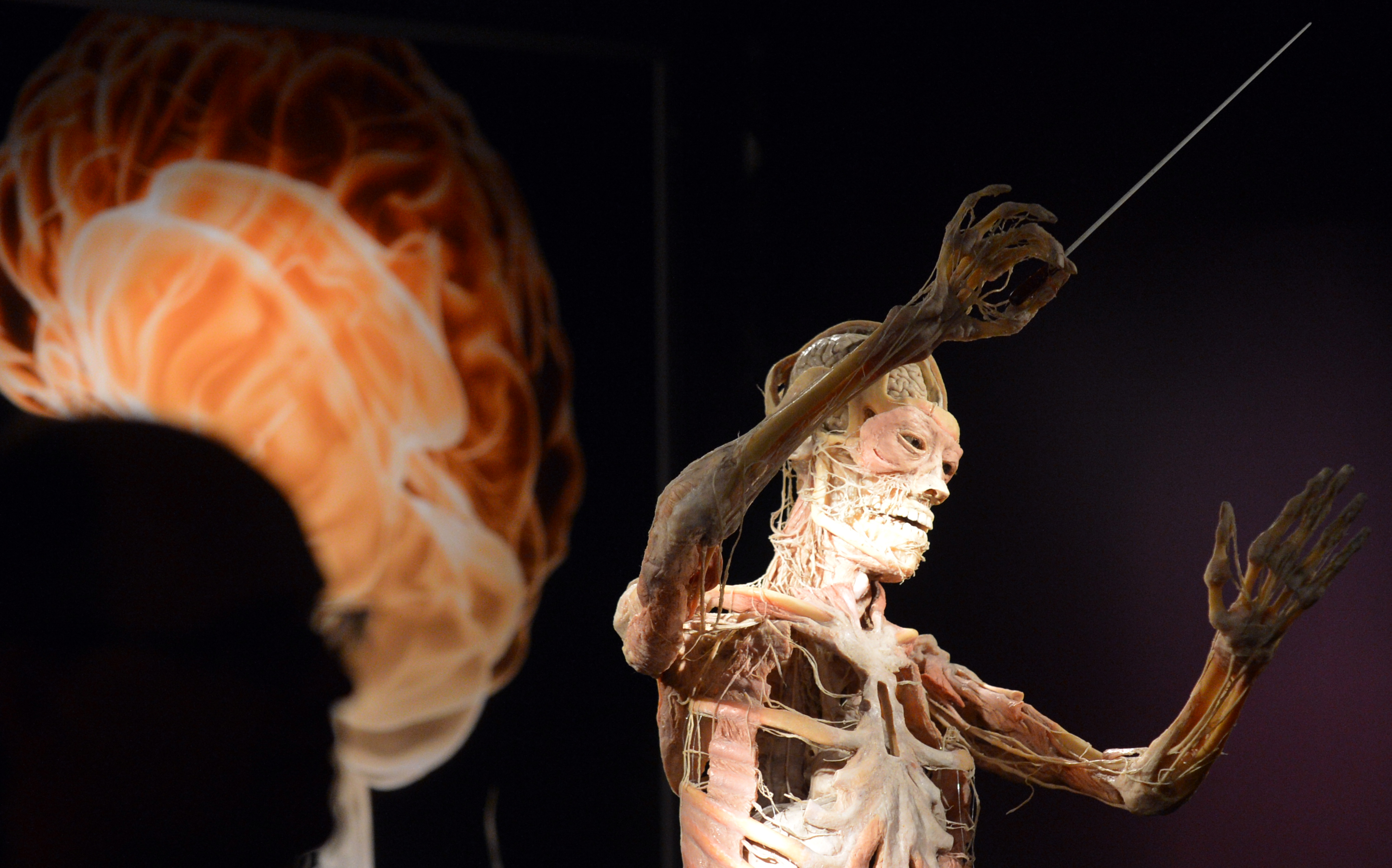 What Really Happens to Bodies Donated to Science? - InsideHook