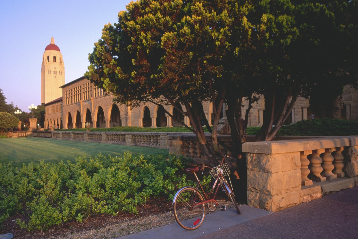 How to Drop Out of Stanford and Become a Millionaire Tech Founder ...