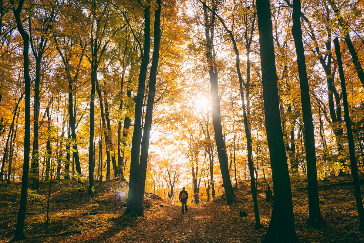 These Are the 5 Best Fall Hikes in the Bay Area - InsideHook