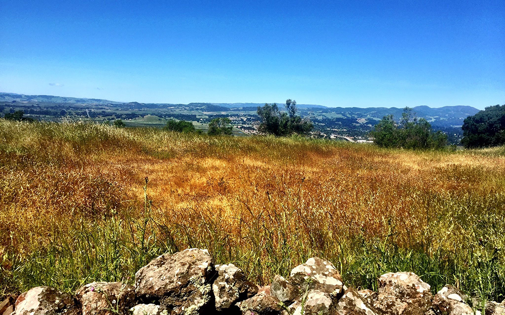These Are the 5 Best Fall Hikes in the Bay Area - InsideHook