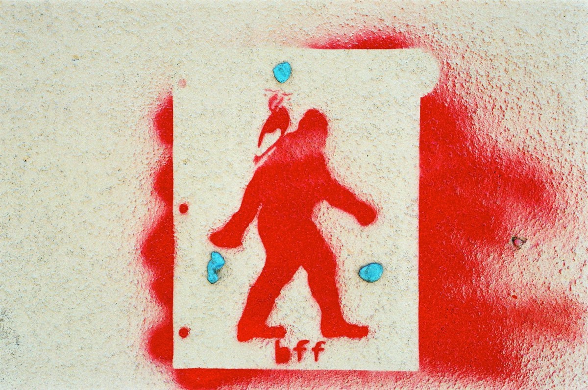 Unexplained Canadian Wilderness Sounds Prompt Cryptid Speculation ...