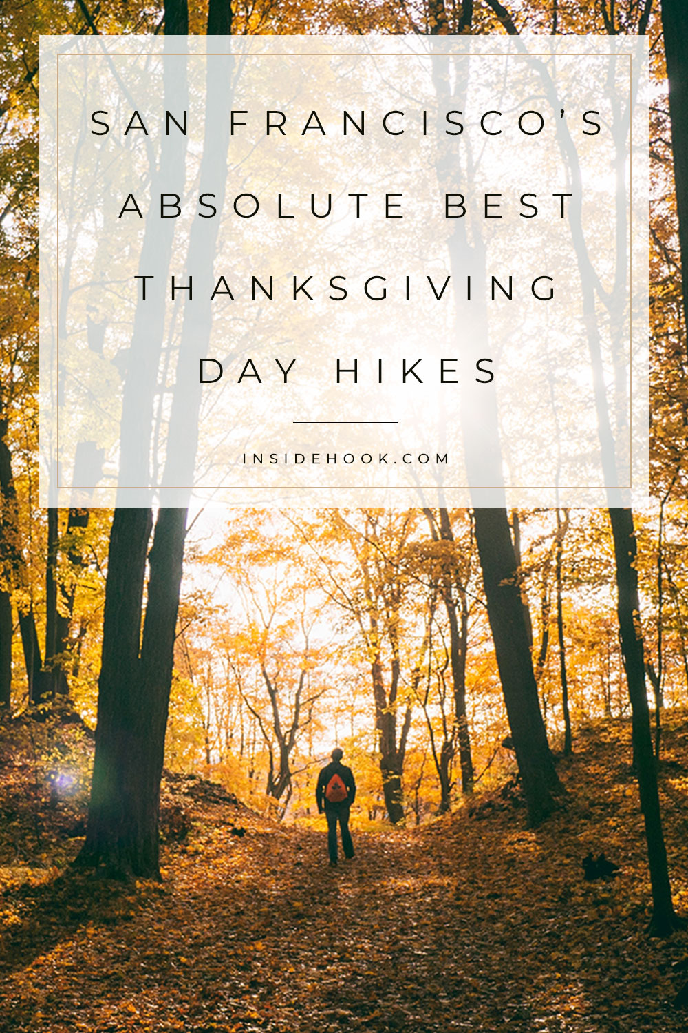 The 5 Best Thanksgiving Weekend Hikes Around Northern California ...