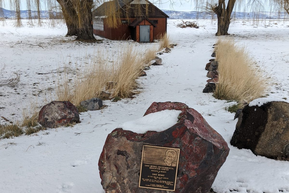 How Will COVID-19 Affect Environmental Education? - InsideHook