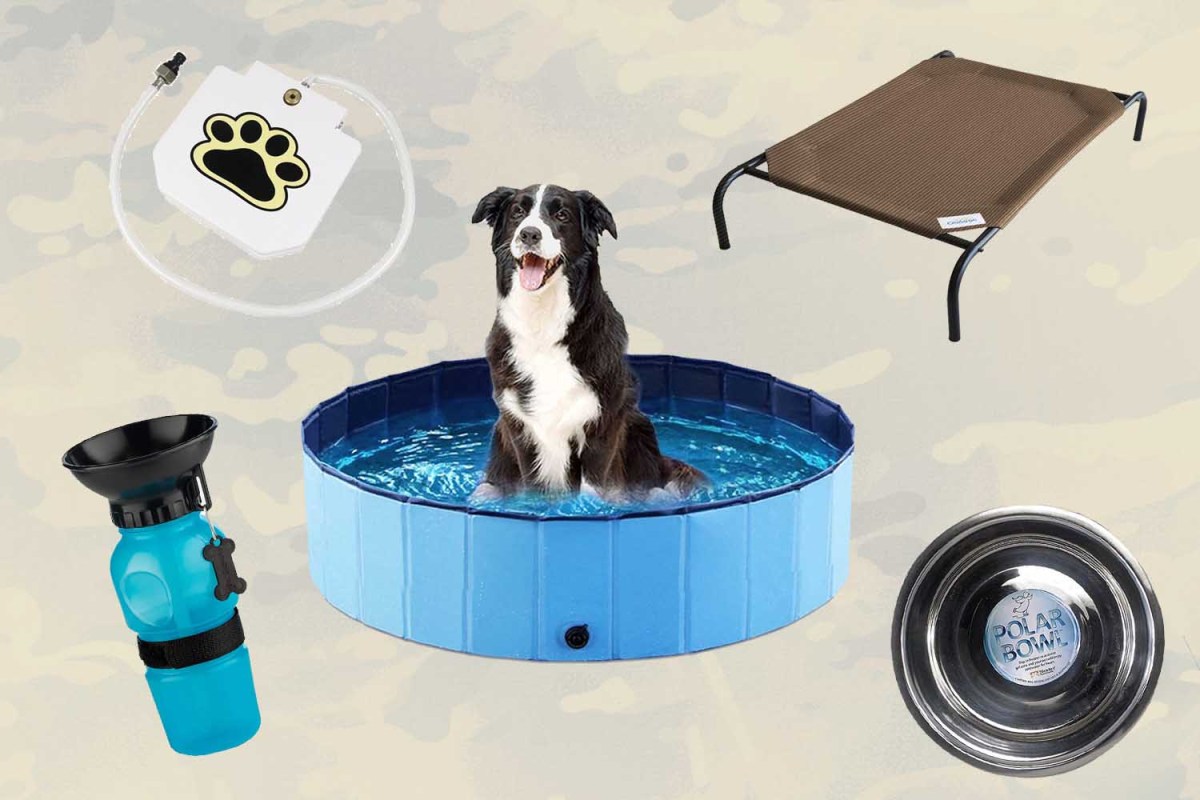10 Items That'll Get Your Dog Through the Dog Days of Summer - InsideHook