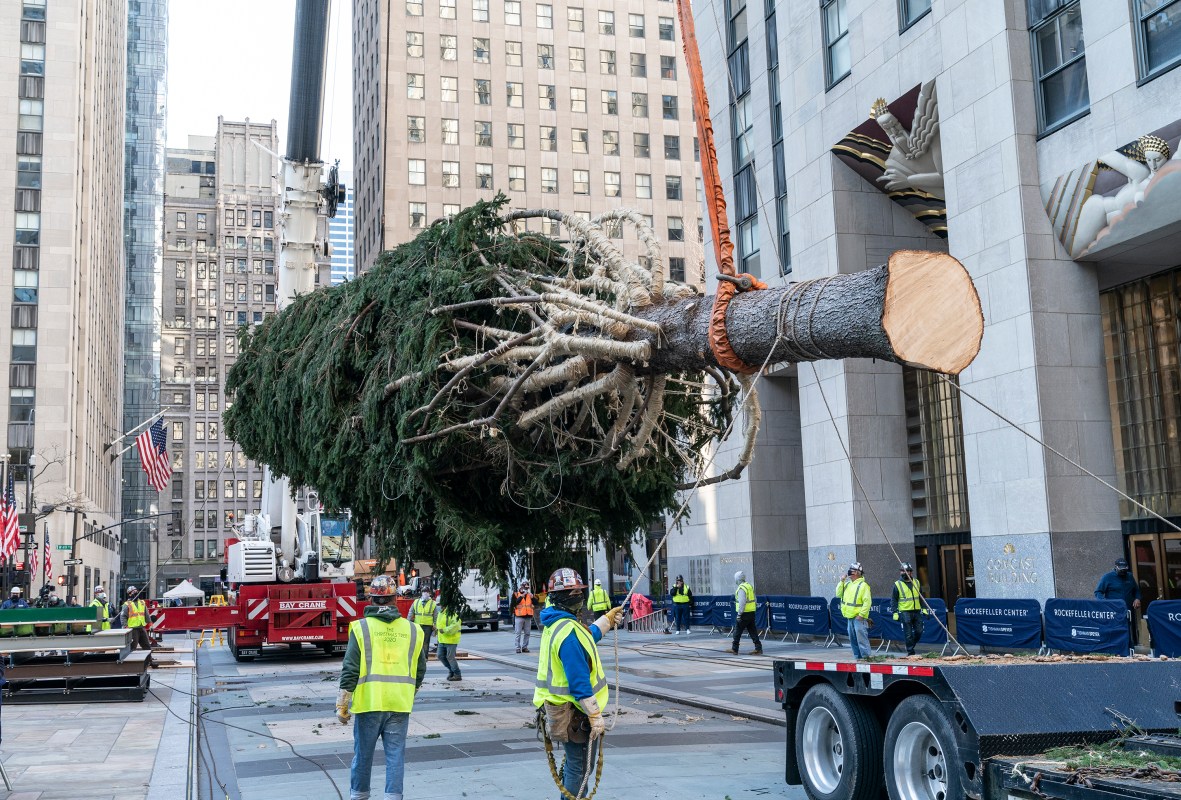 A Tiny Owl Got Stuck in the Rockefeller Center Christmas Tree - InsideHook