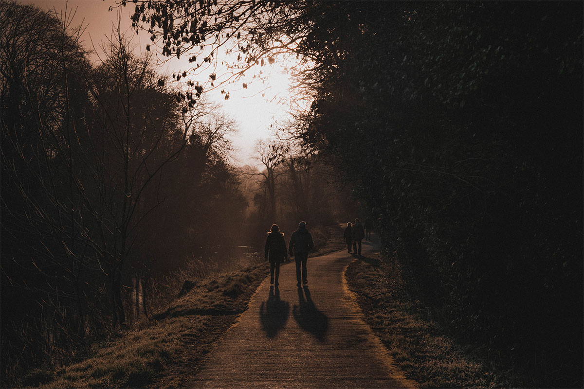 Why You Should Still Go For a Walk This Thanksgiving - InsideHook