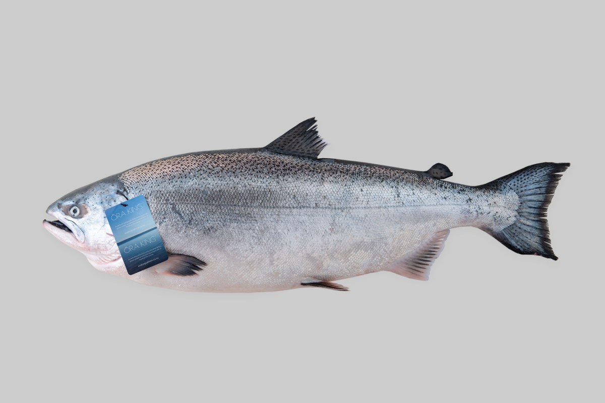 What Makes Ōra King Salmon the Wagyu of Seafood & How Is It Cooked ...