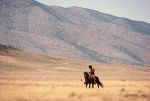 The 15 Best Modern Western Books - InsideHook