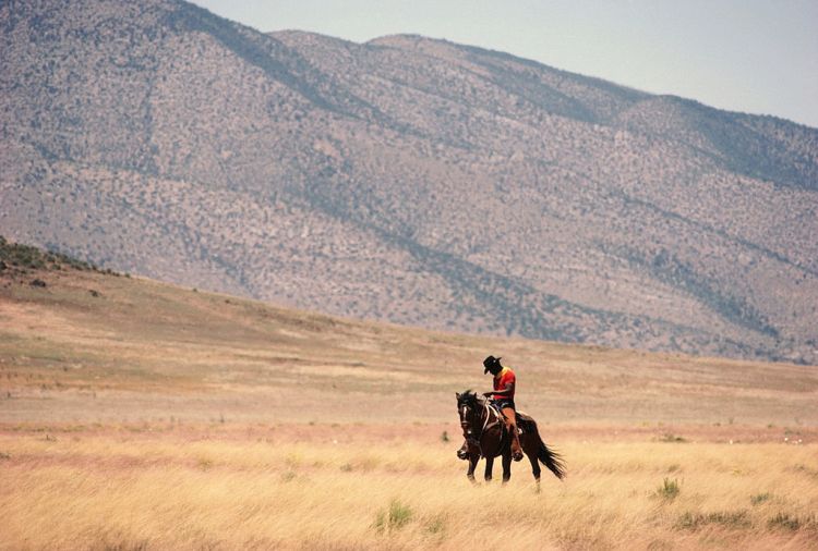 The 15 Best Modern Western Books - InsideHook