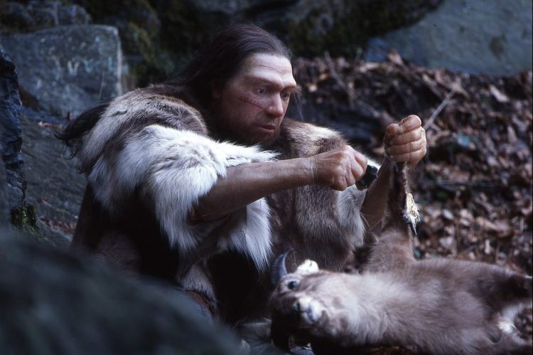 Did Neanderthals Spend Their Winters Hibernating? - InsideHook