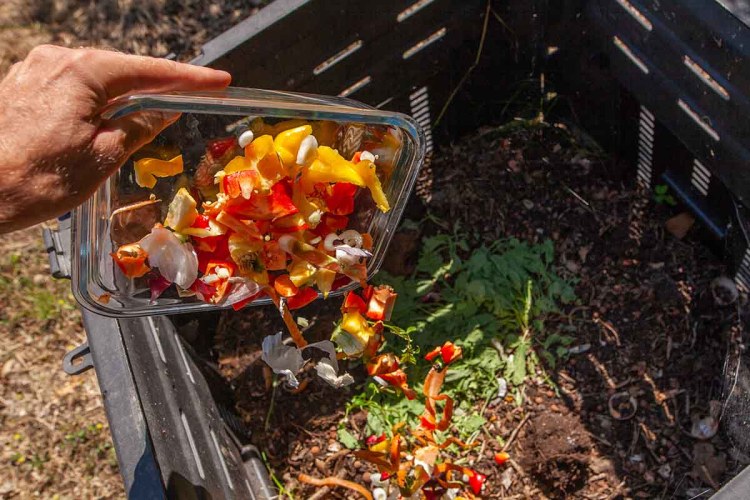 The Beginner’s Guide to Home Composting - InsideHook