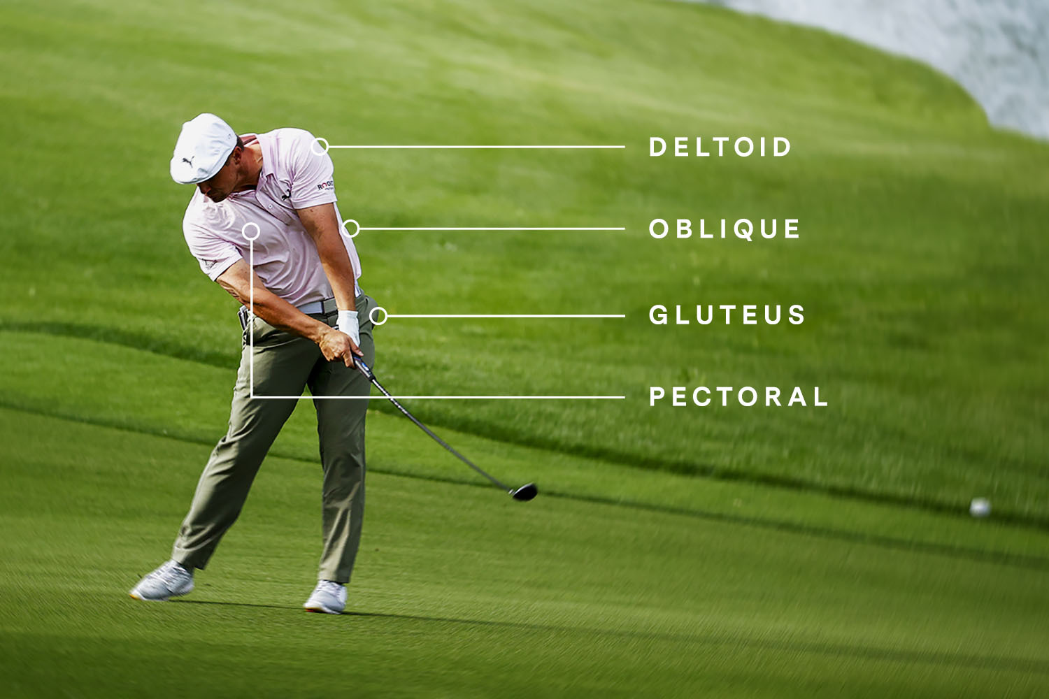 What to Make of the PGA's Strength Training Revolution - InsideHook