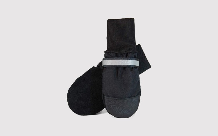 Everything You Need to Go Camping With Your Dog - InsideHook