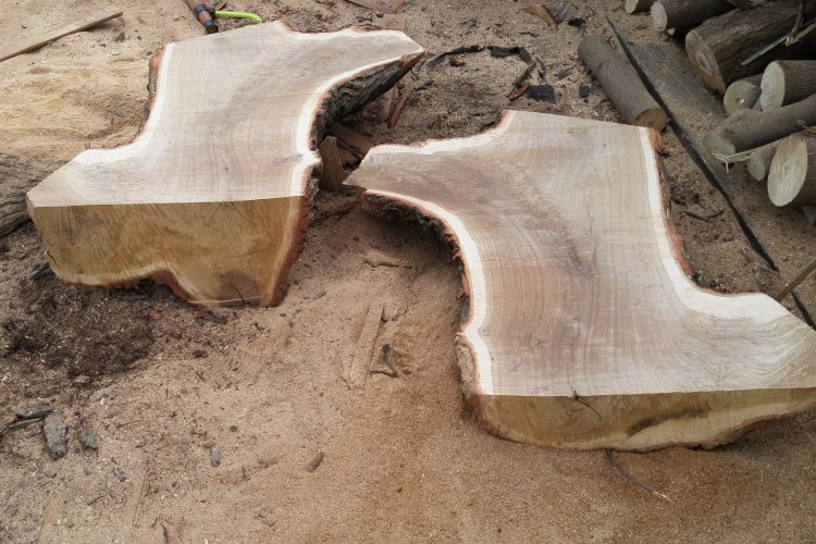 How to Turn the Dead Tree in Your Yard Into a Wooden Heirloom - InsideHook