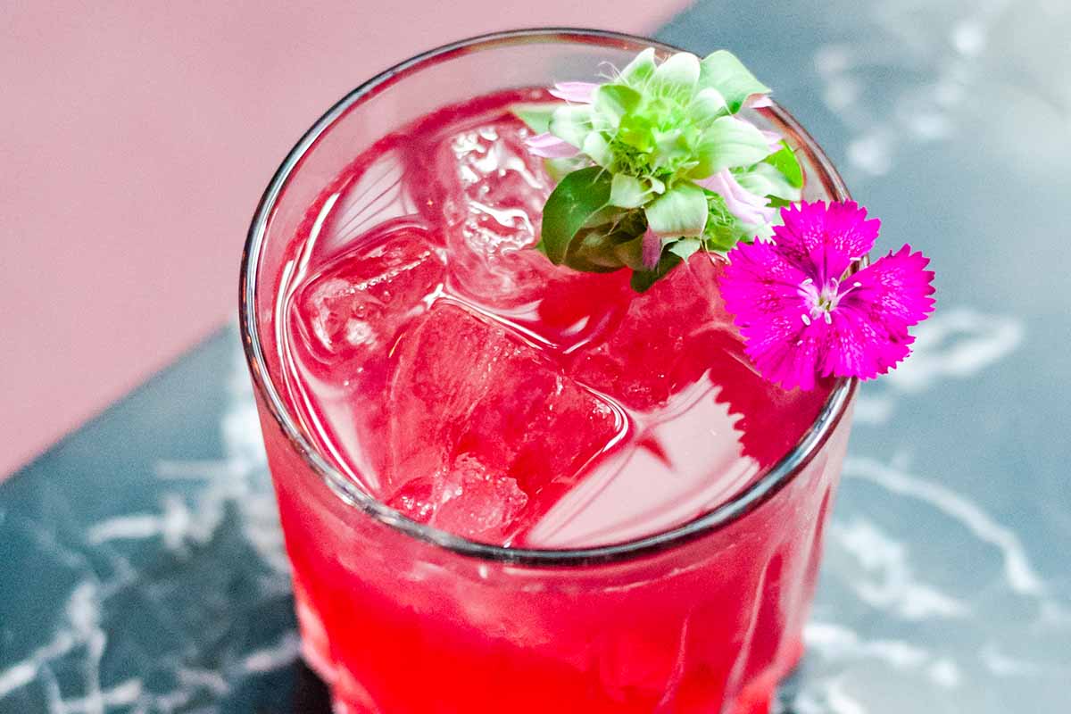The Best Ingredient For Your Cocktails Is Hibiscus - InsideHook